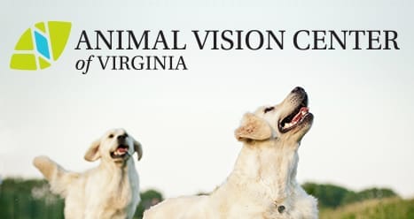 Animal Vision Center of Virginia | Expert Ophthalmology Services
